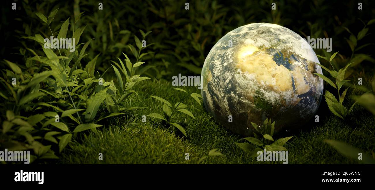 Environmental Ecology Sustainability and Earth Day Concept. Planet ...