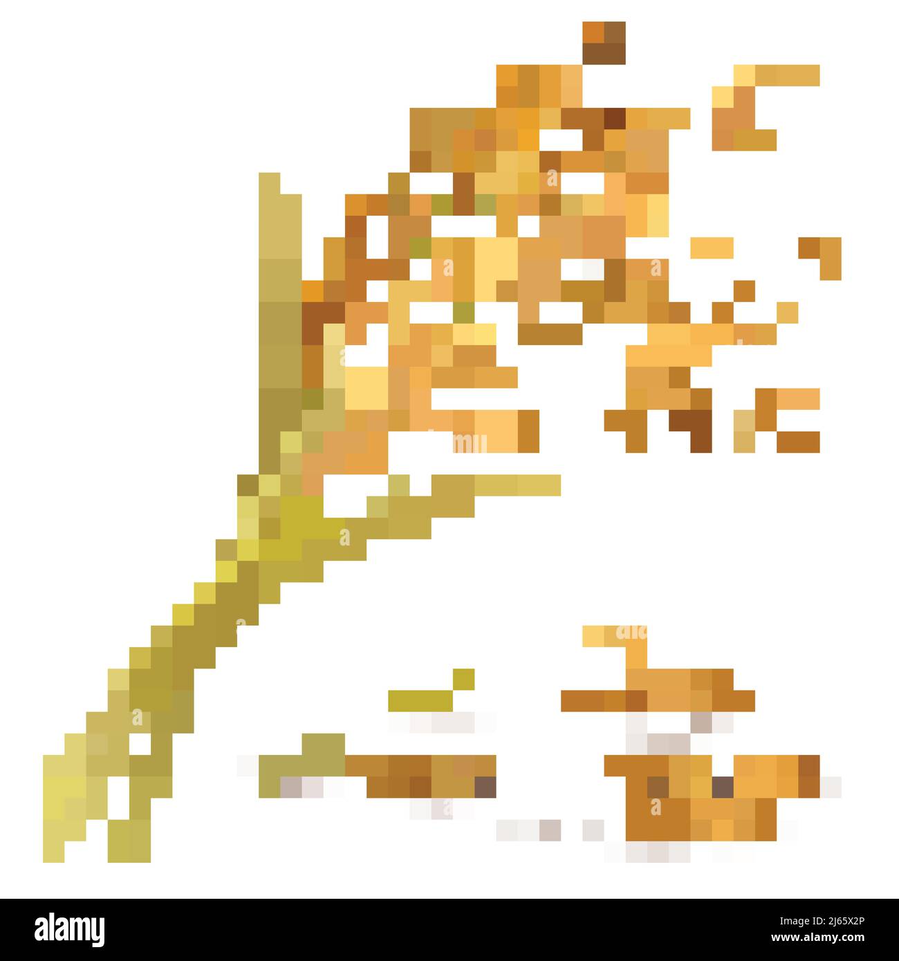 Rice ears and grain with harvest and agriculture symbols realistic ...