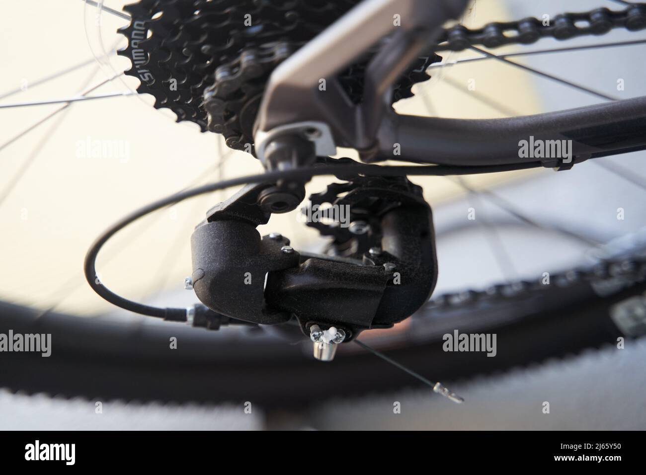 Mountain bike rear derailleur close-up. Rear racing bike cassette on ...