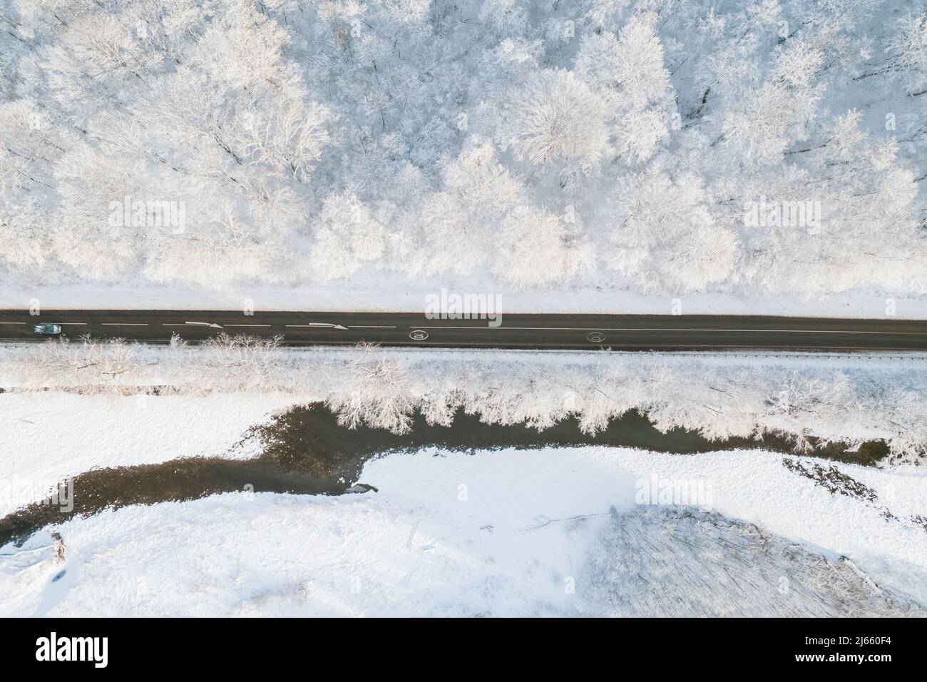 Taiga wild untouched wood. Cinematic suburban landscape. Bright sun ...