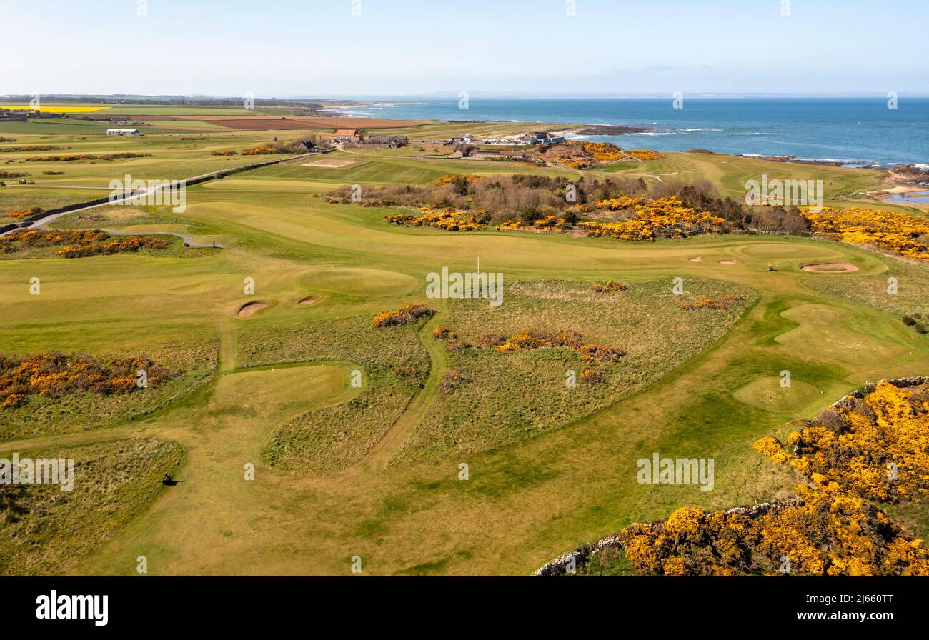 Aerial view of Craighead and Balcomie Links, Crail Golfing Society ...