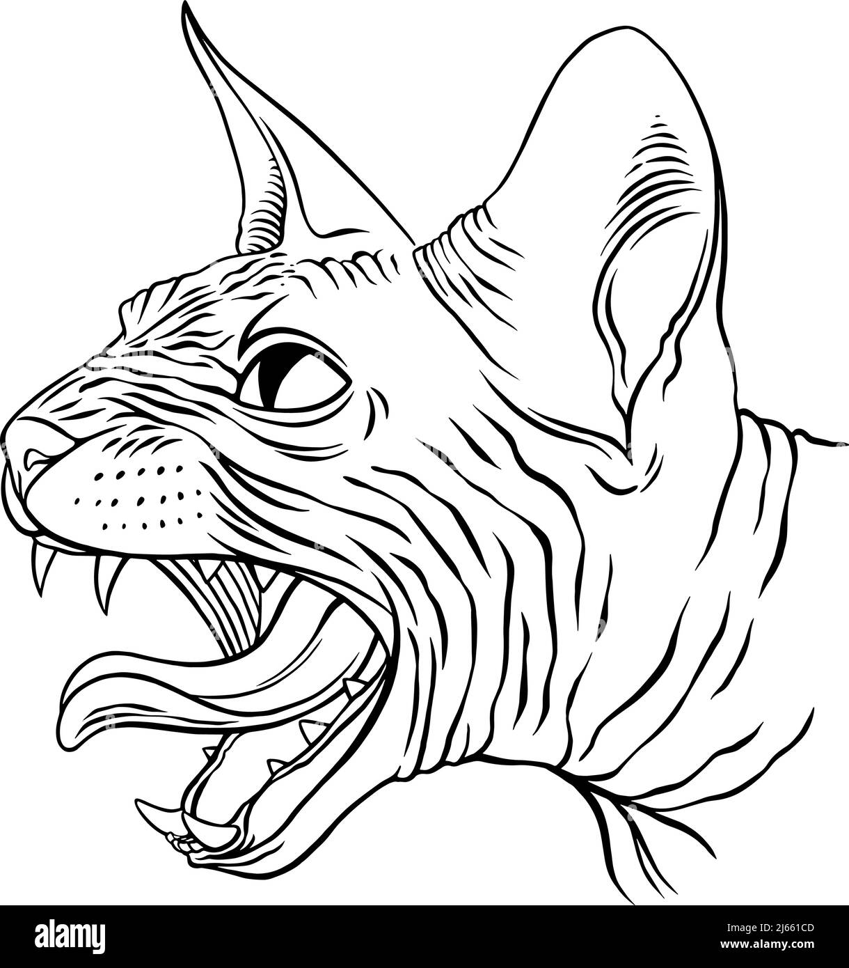 Sphinx cat portrait. Vector illustration Stock Vector Image & Art - Alamy