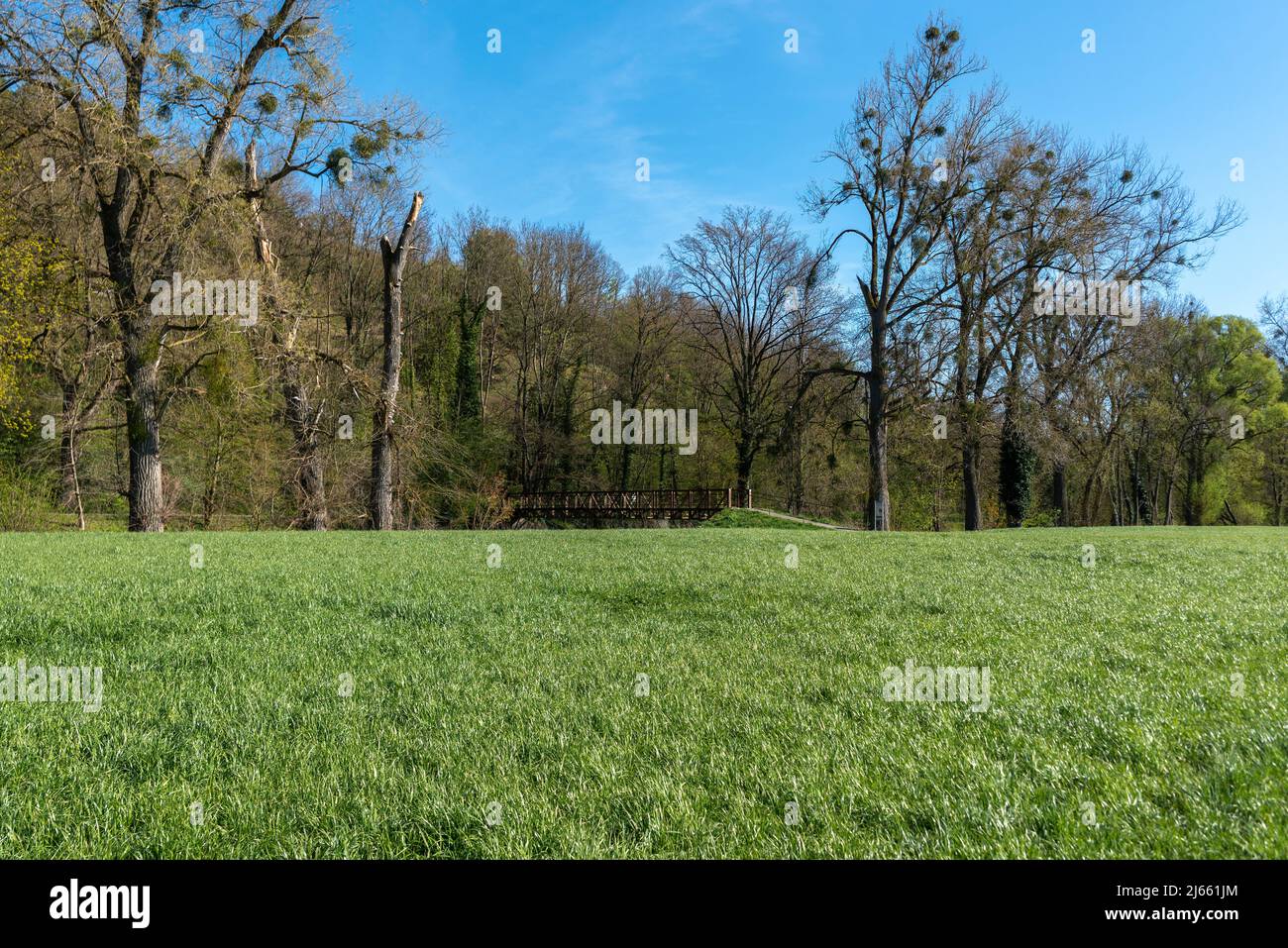 Landscape in nature reserve Roter Rain with bridge over river Enz ...