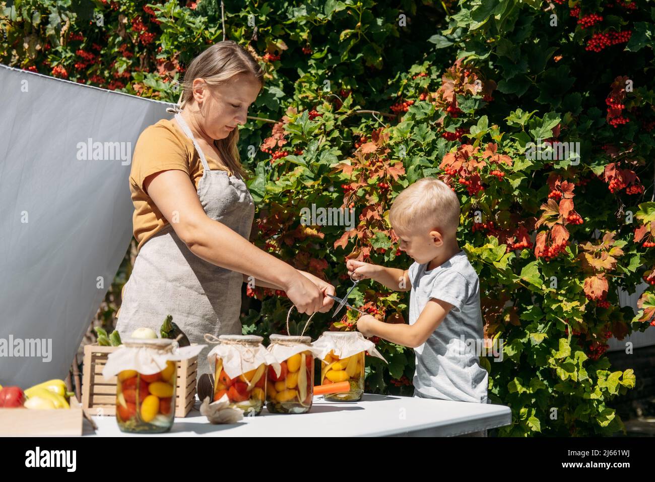 Happy family mother and son kid canning vegetables in the garden in ...