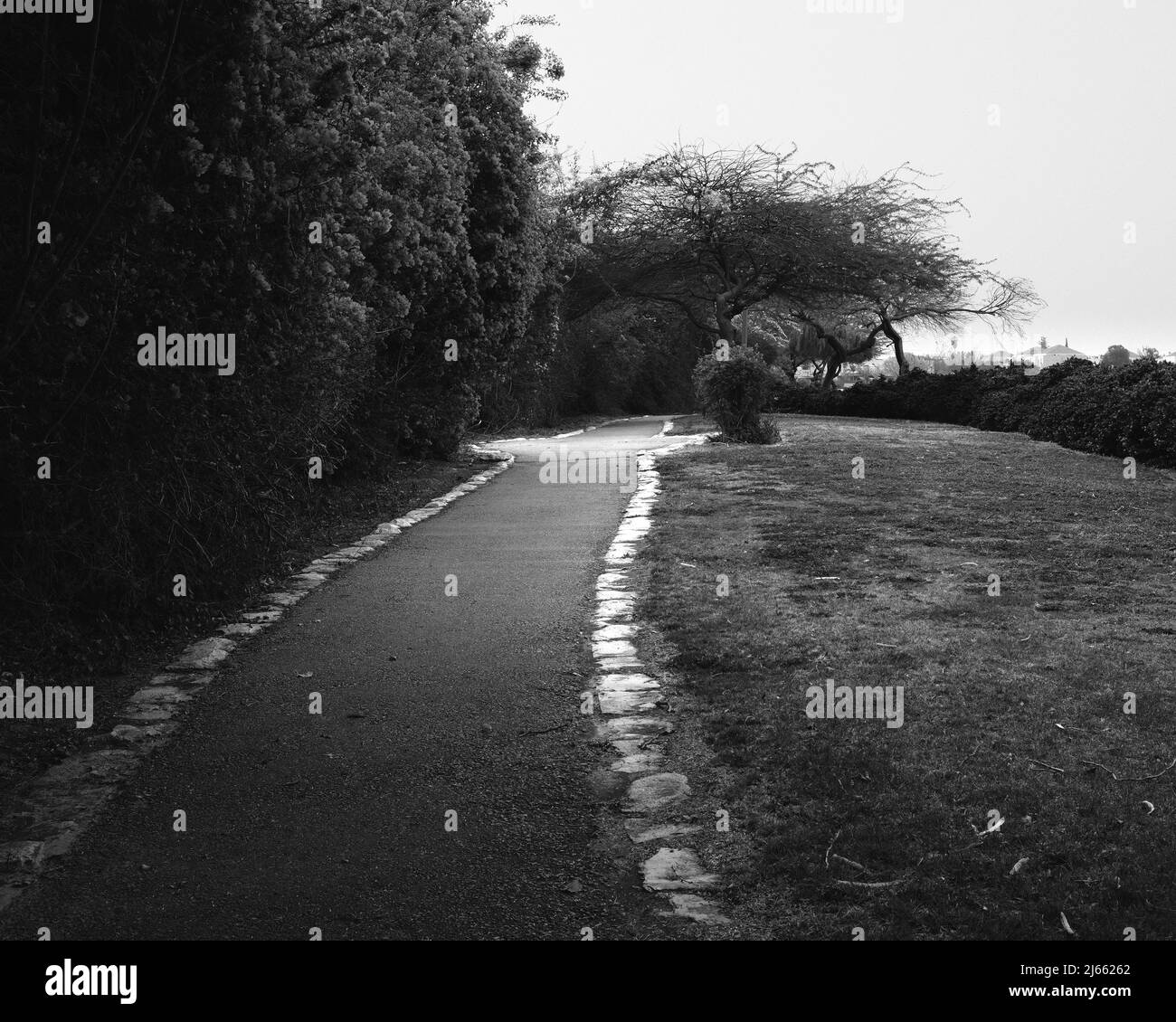 Grass and sidewalk Black and White Stock Photos & Images - Alamy