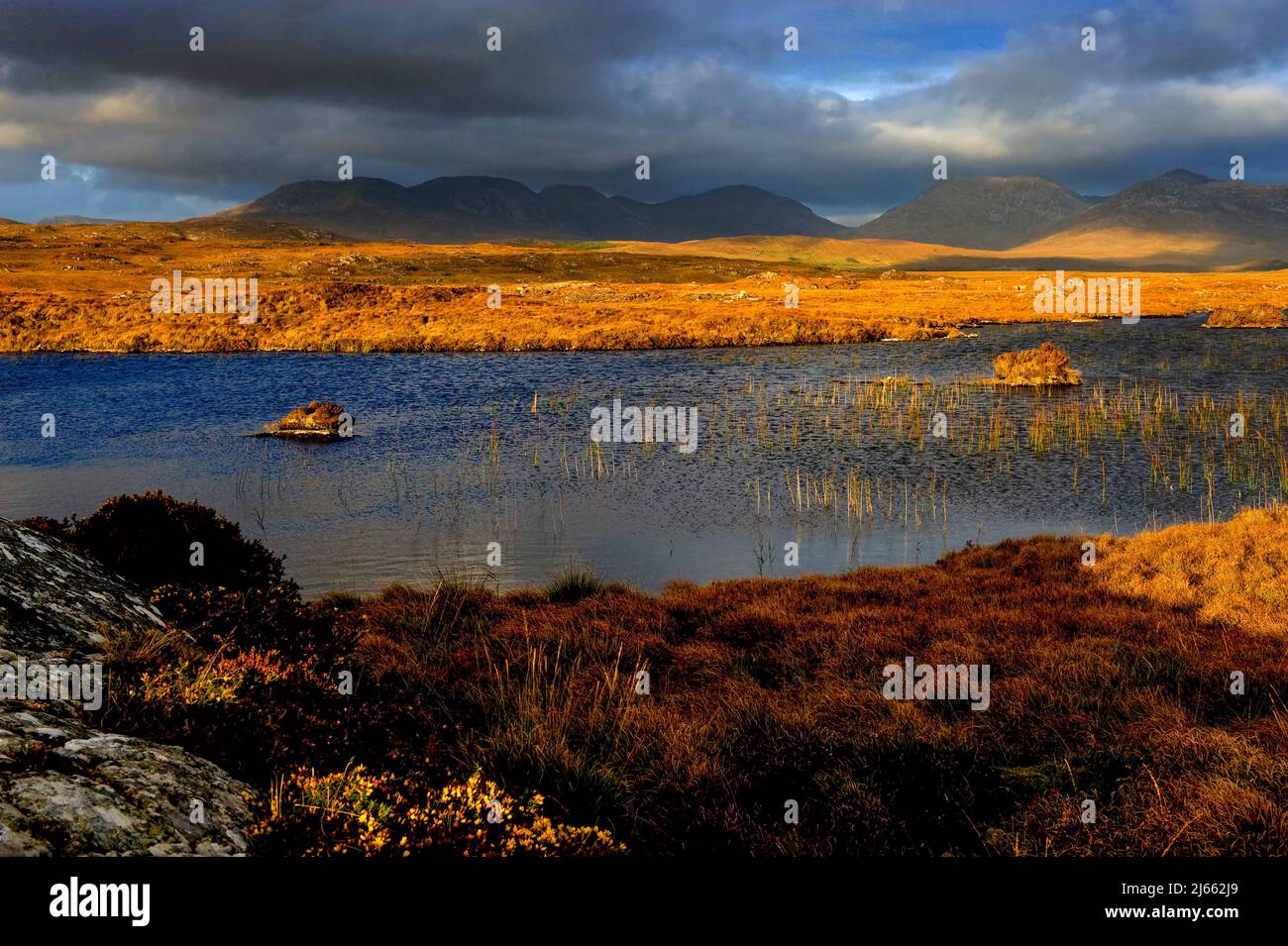 Roundstone Bog, Twelve Pins, Connemara,County Galway. Ireland Stock ...