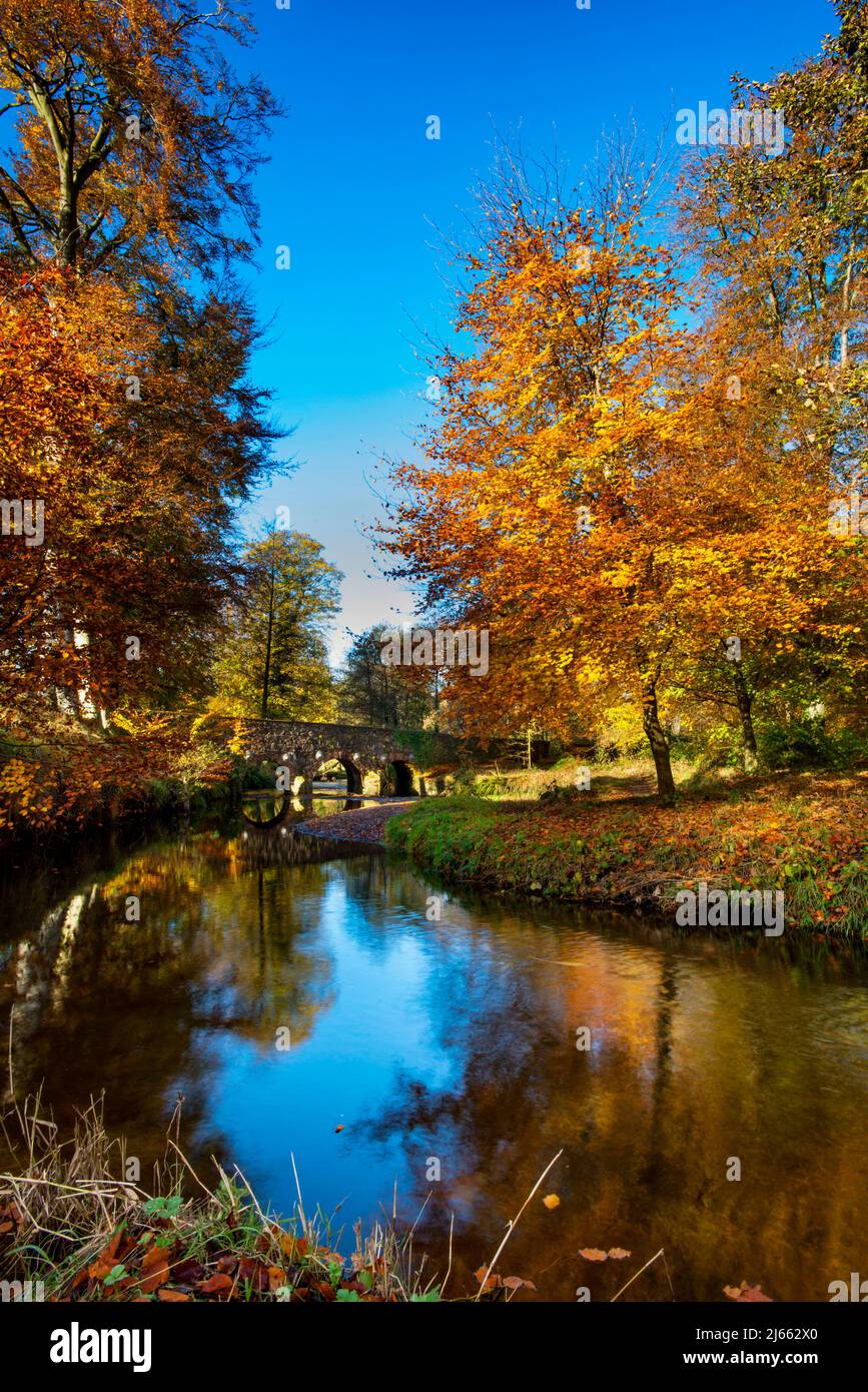 The river Minnowburn as it flows into the River Lagan in Lagan Valley ...