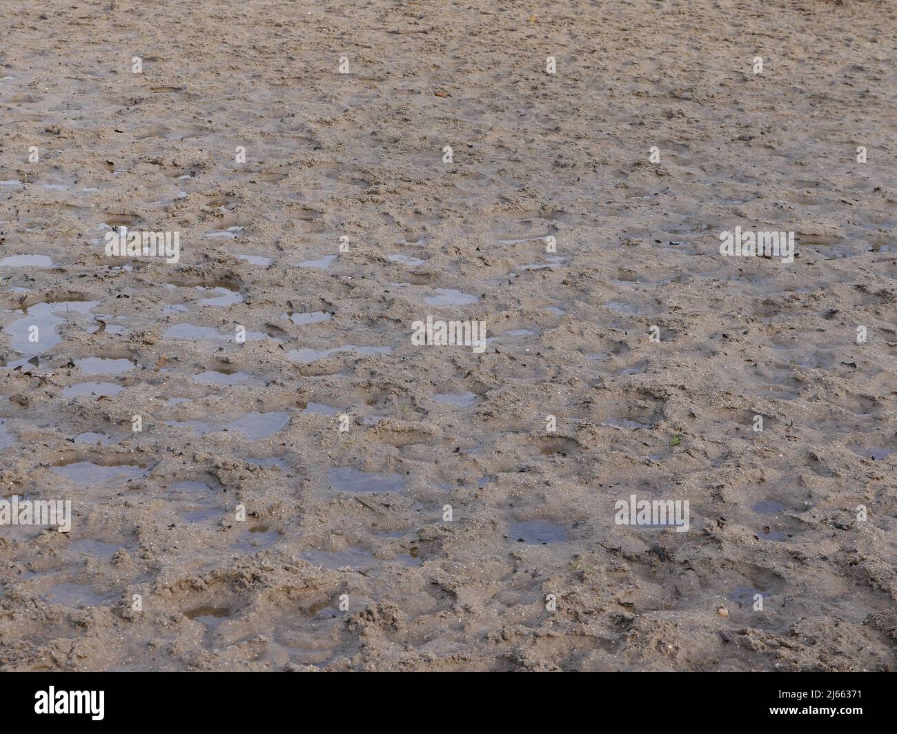 Wet soft earth hi-res stock photography and images - Alamy