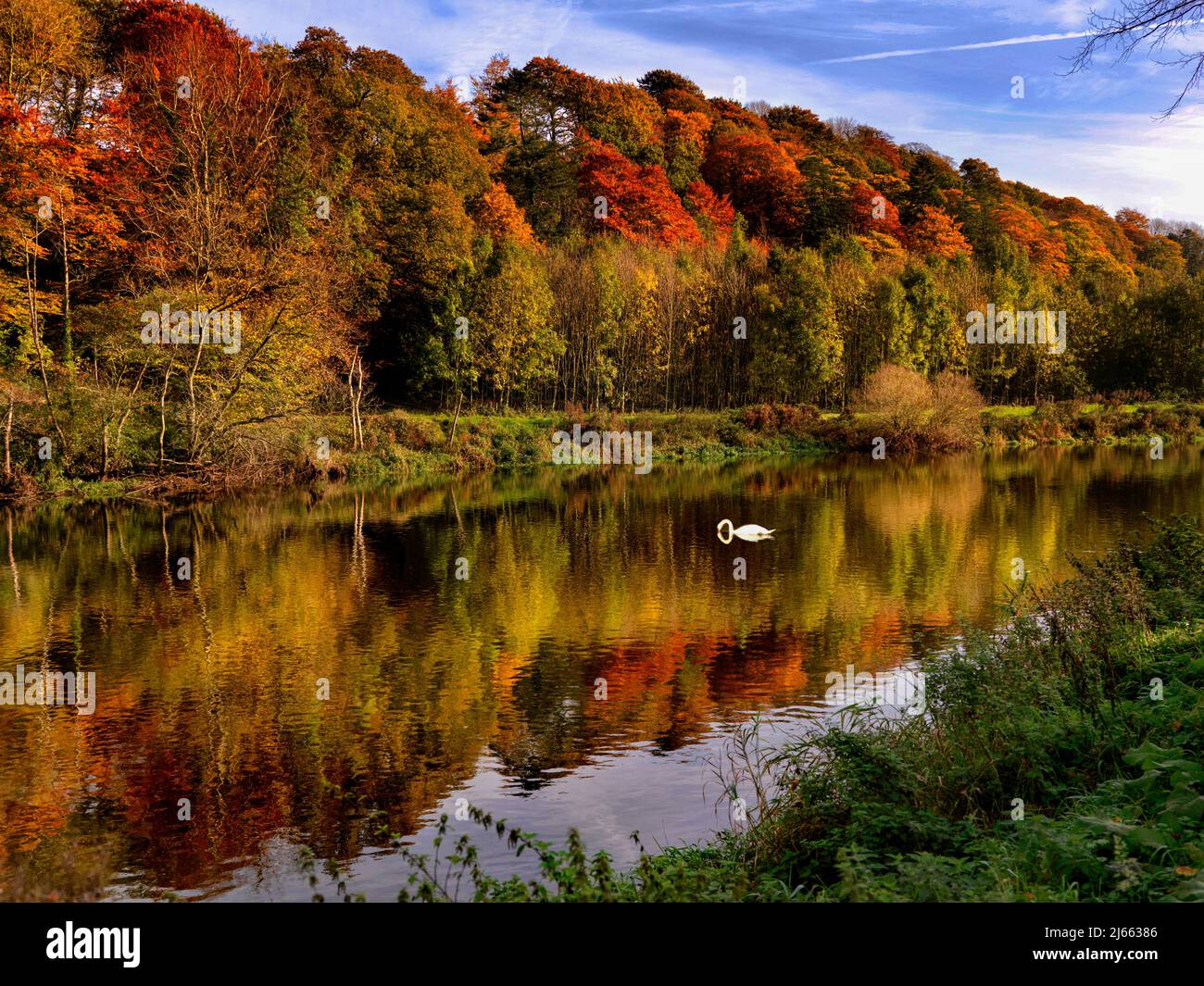 River Suir, Clonmel, County Tipperary, Ireland Stock Photo - Alamy