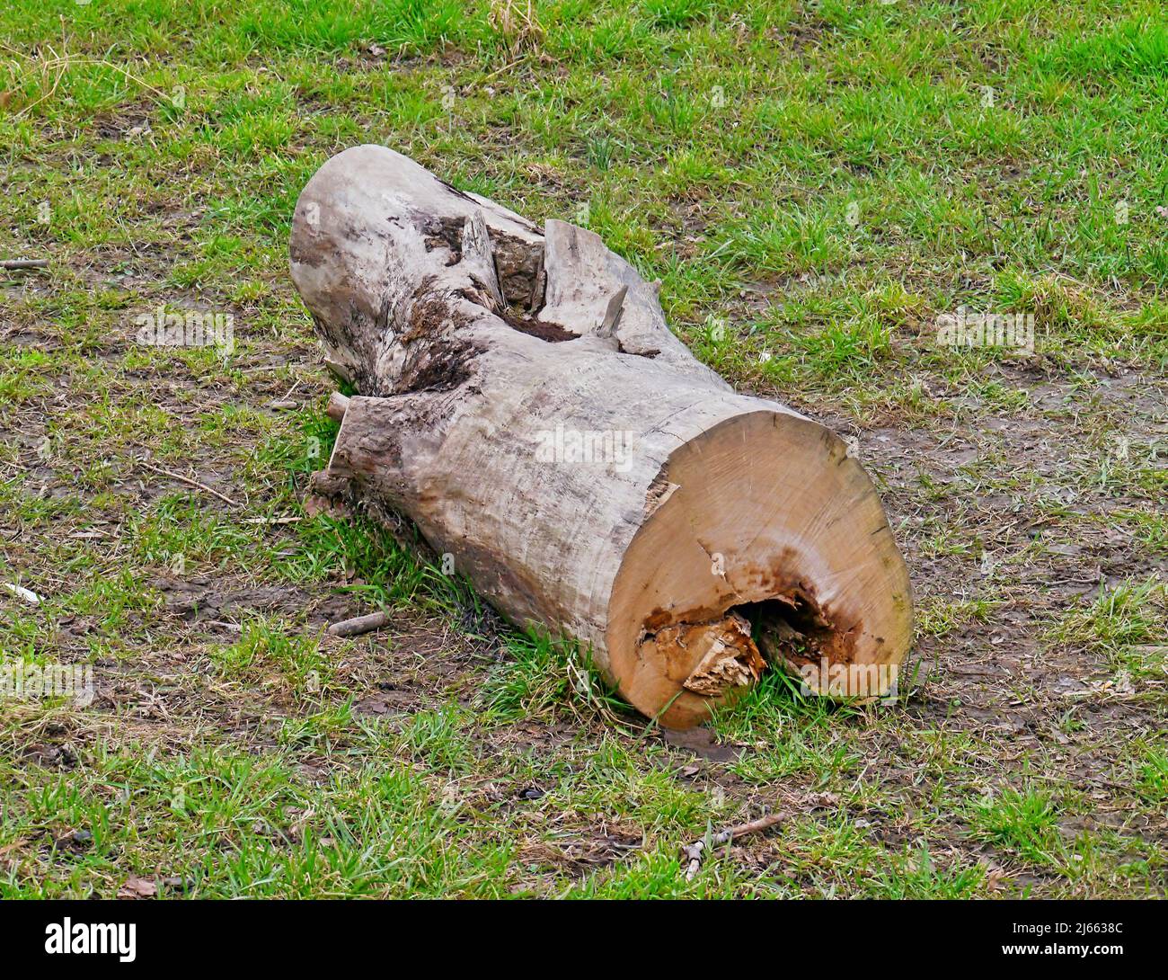 Sponged hi-res stock photography and images - Alamy