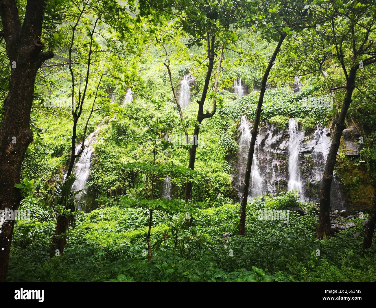 Waterfall cascades Anse des Cascades at La Reunion Stock Photo - Alamy