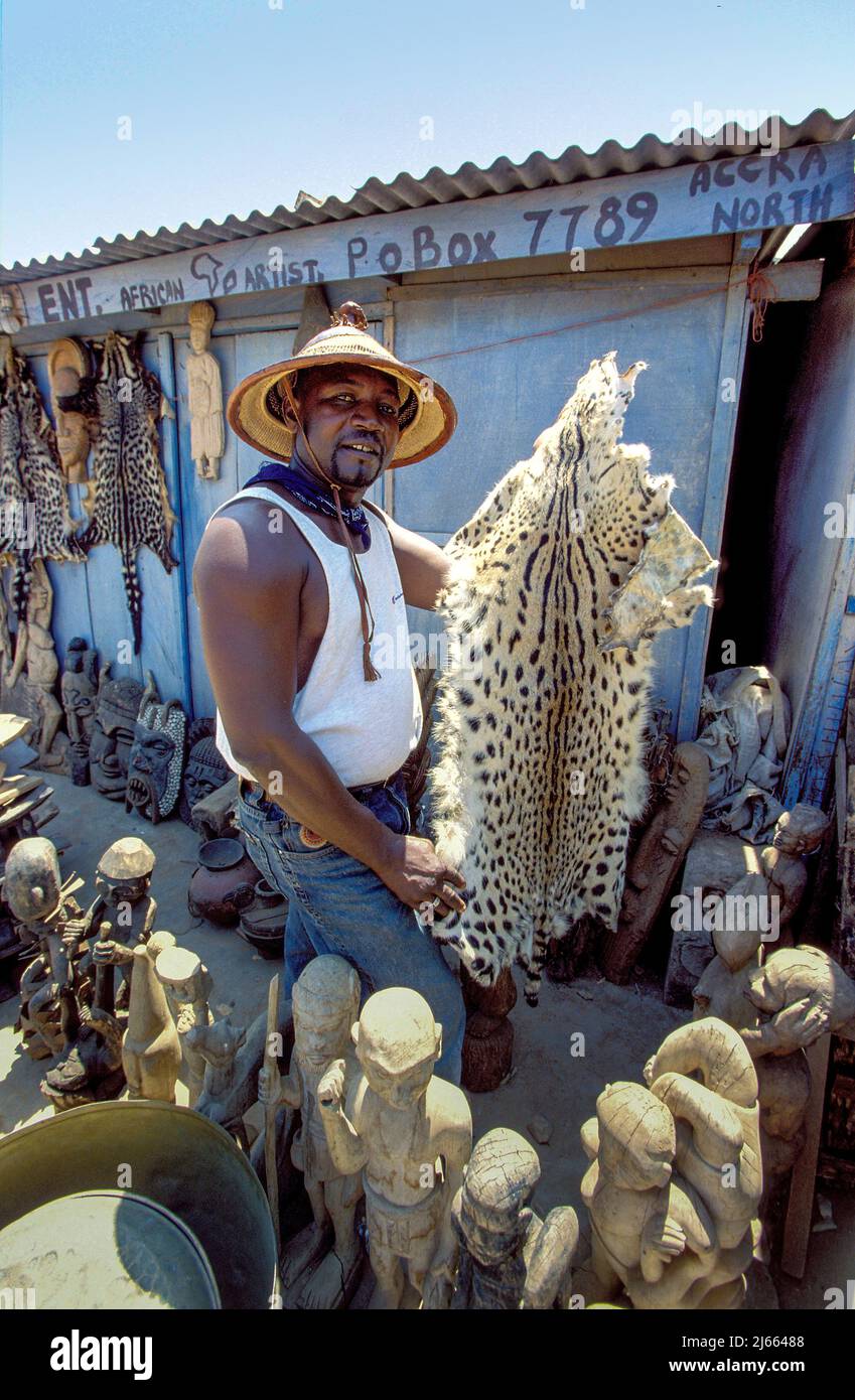 Ghana, Accra; an african artist showing leopard skin at a market Stock ...