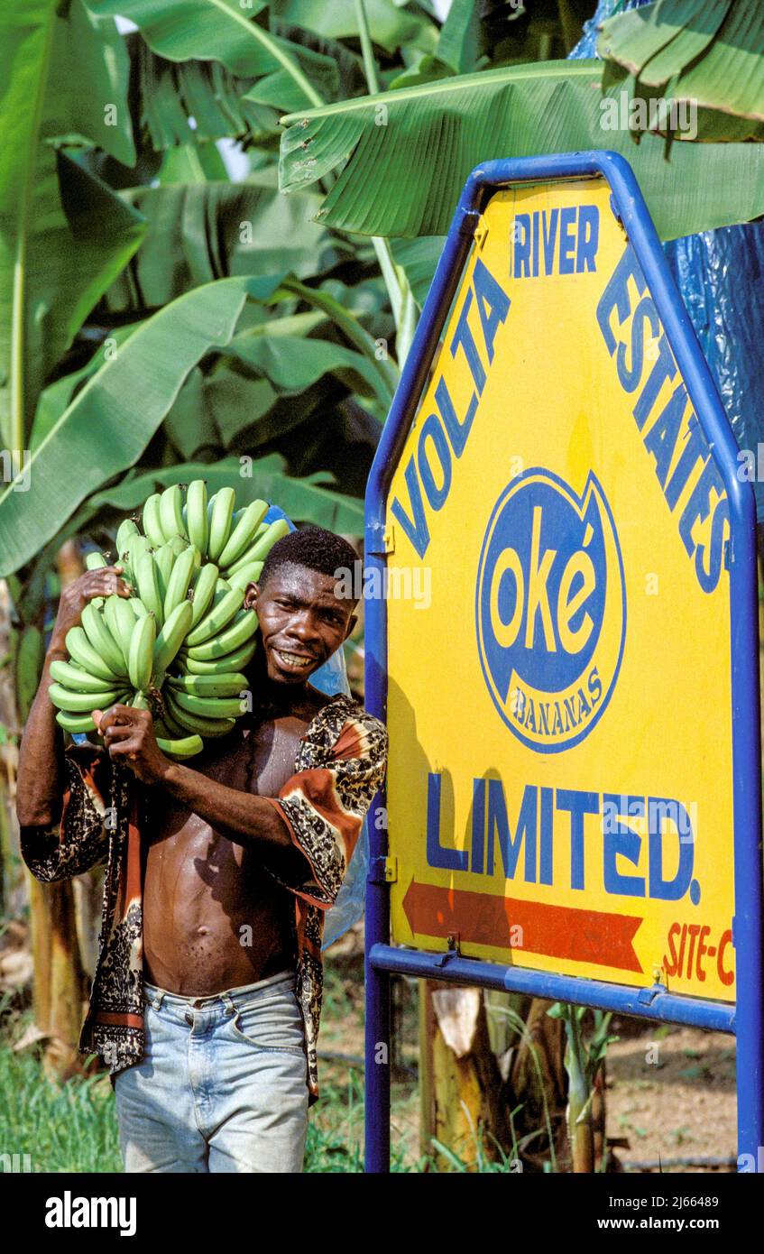 Ghana, New Akrade; man wearing bananas Stock Photo - Alamy