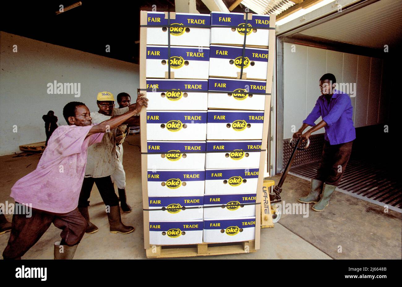 Ghana, New Akrade; men loading bananas Stock Photo - Alamy