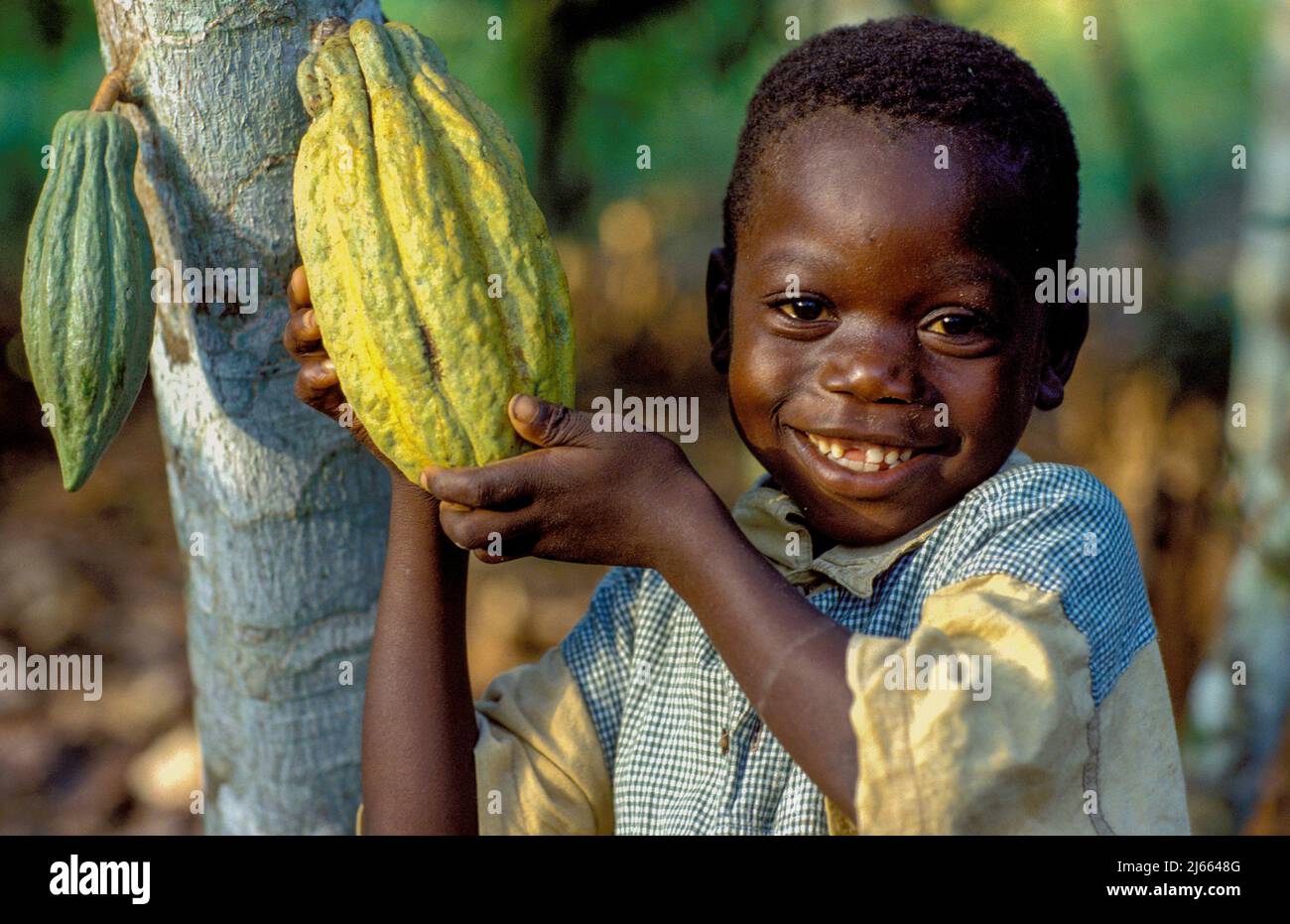 Ghana cocoa child hi-res stock photography and images - Alamy