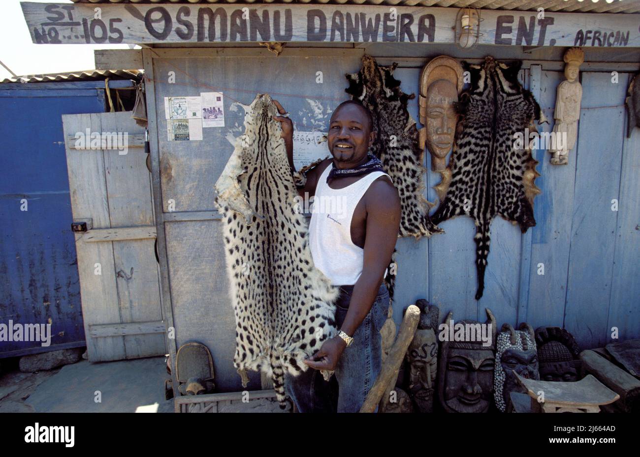 Ghana, Accra; an african artist showing leopard skin at a market Stock ...