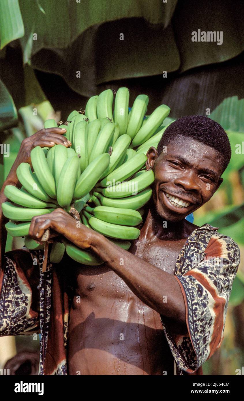 Ghana, New Akrade; man carrying bananas Stock Photo - Alamy