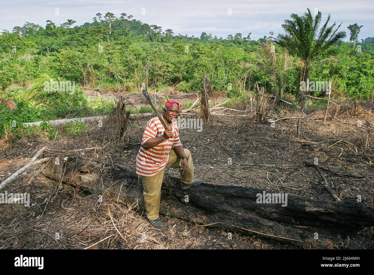 Ghana, Tarkwa Erosion of rainforest because of slash and burn ...
