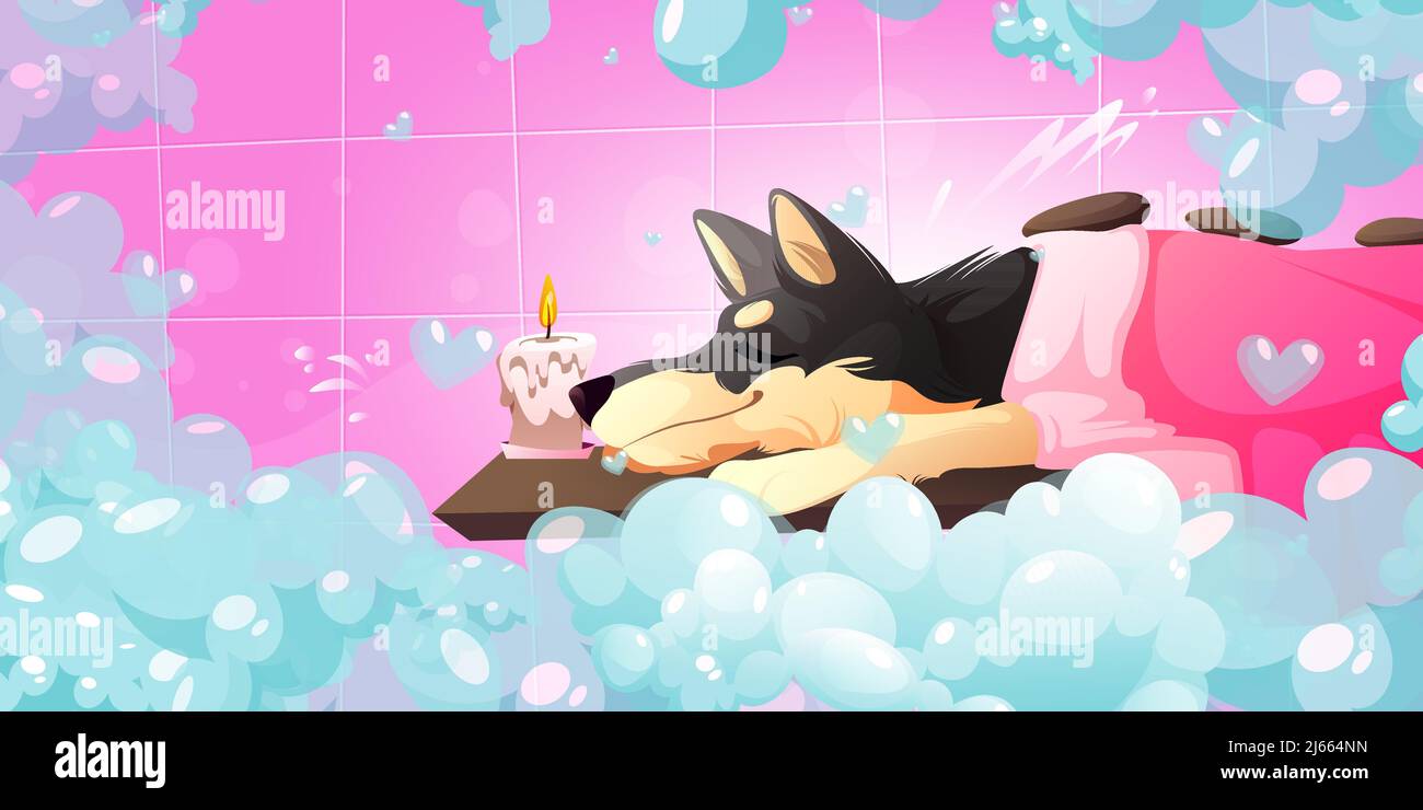 Pet spa salon with cute dog lying with towel and stones. Vector cartoon ...