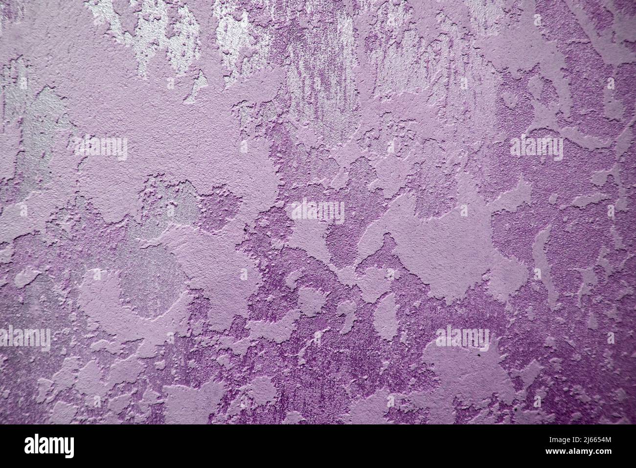 Purple decorative plaster texture on the concrete wall. Abstract ...