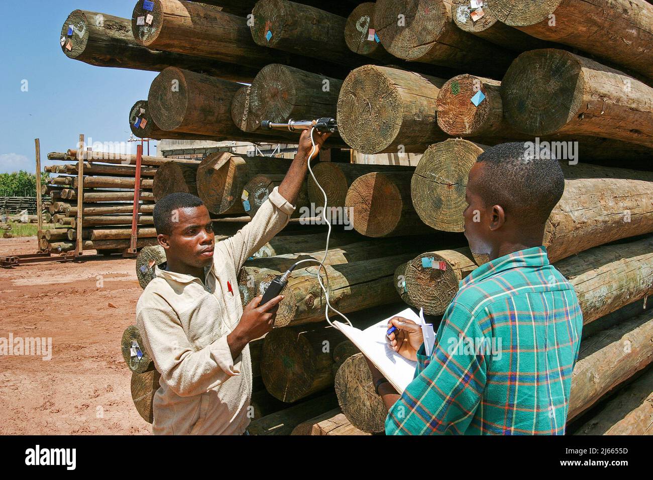 Ghana - Tarkwa - cut logs are stored on the site of a sawmill. Two men ...
