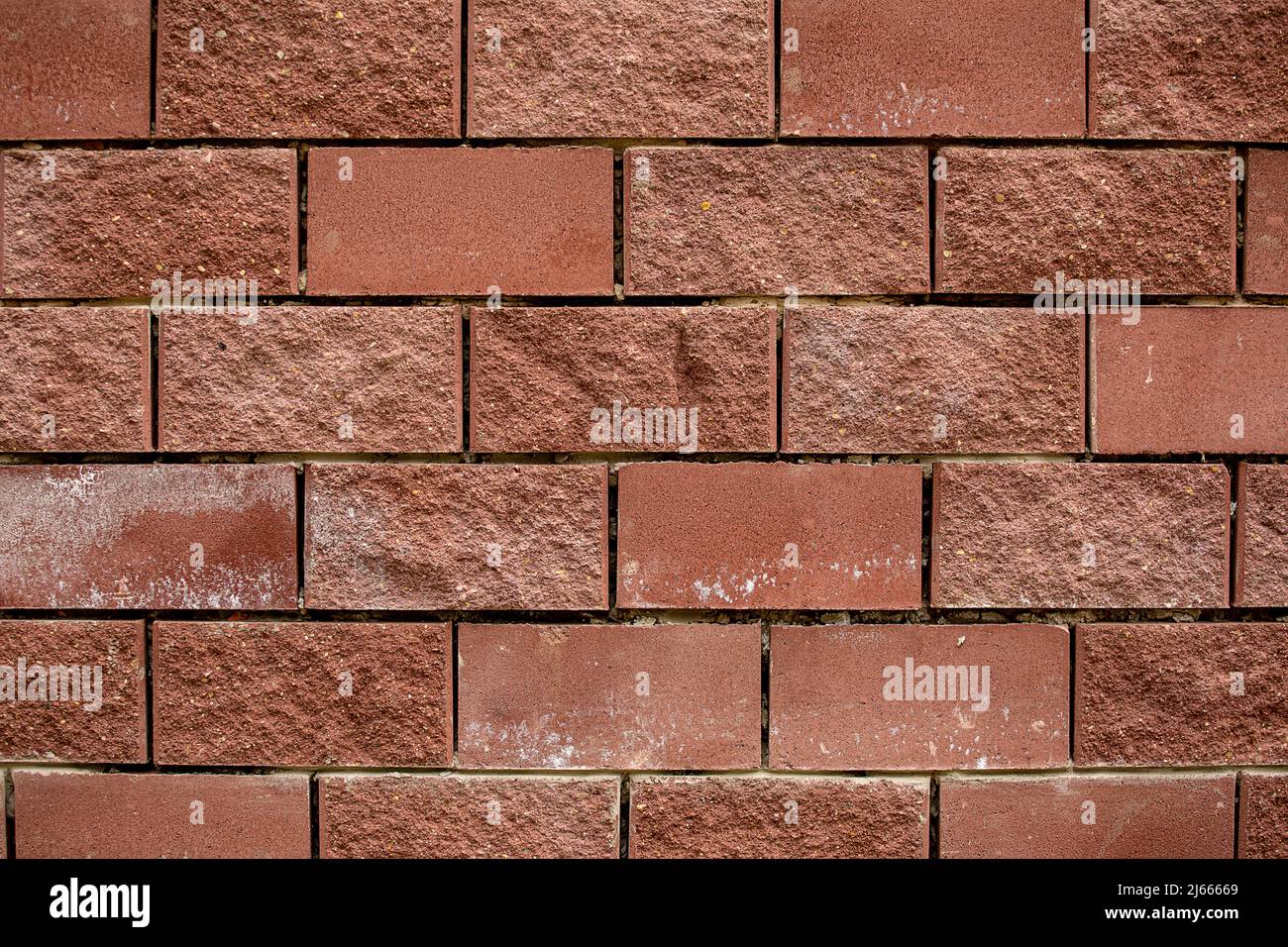 The background is made of smooth and rough stone of red-brown color ...