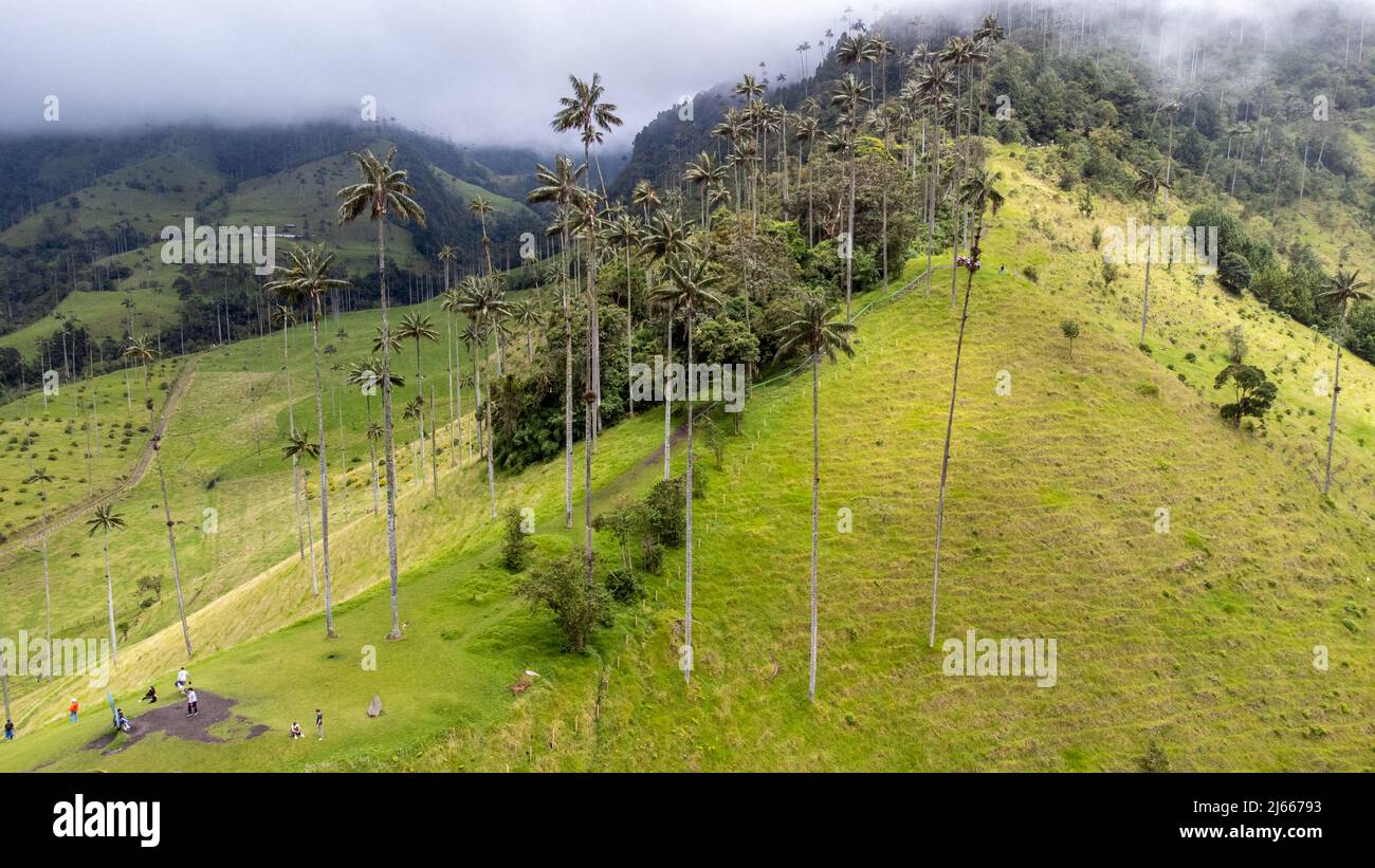 Valle de Cocora – Valley of the Giant Palm Trees, Salento, Colombia ...