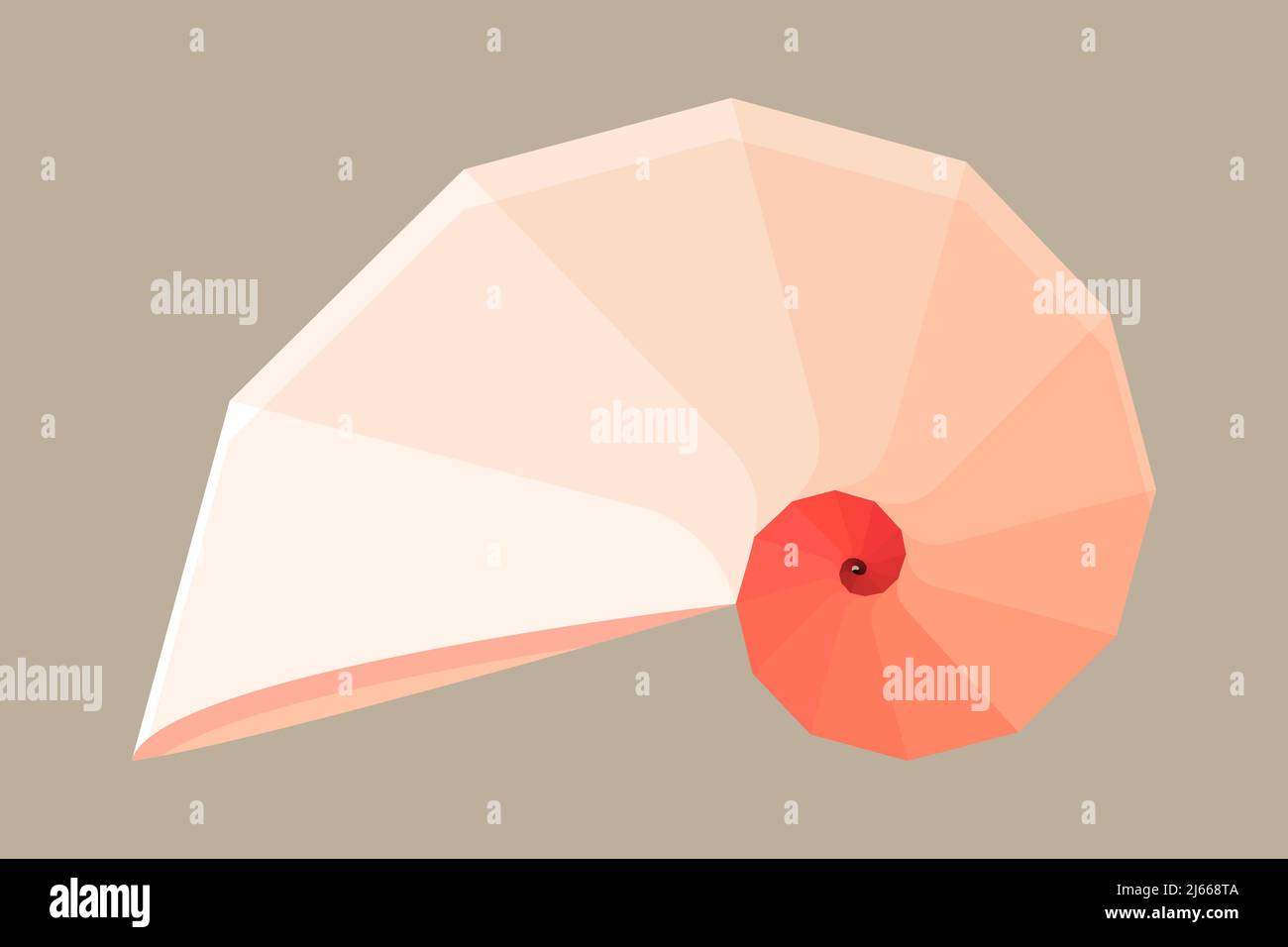 Geometric Nautilus shell symbol. Flat vector illustration Stock Vector ...
