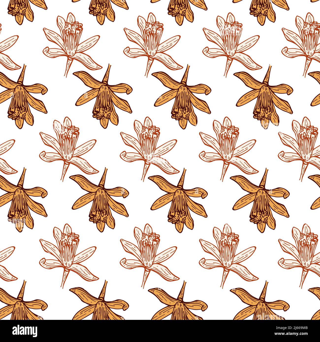 Seamless pattern flowers engraved. Vintage background of garden floral ...