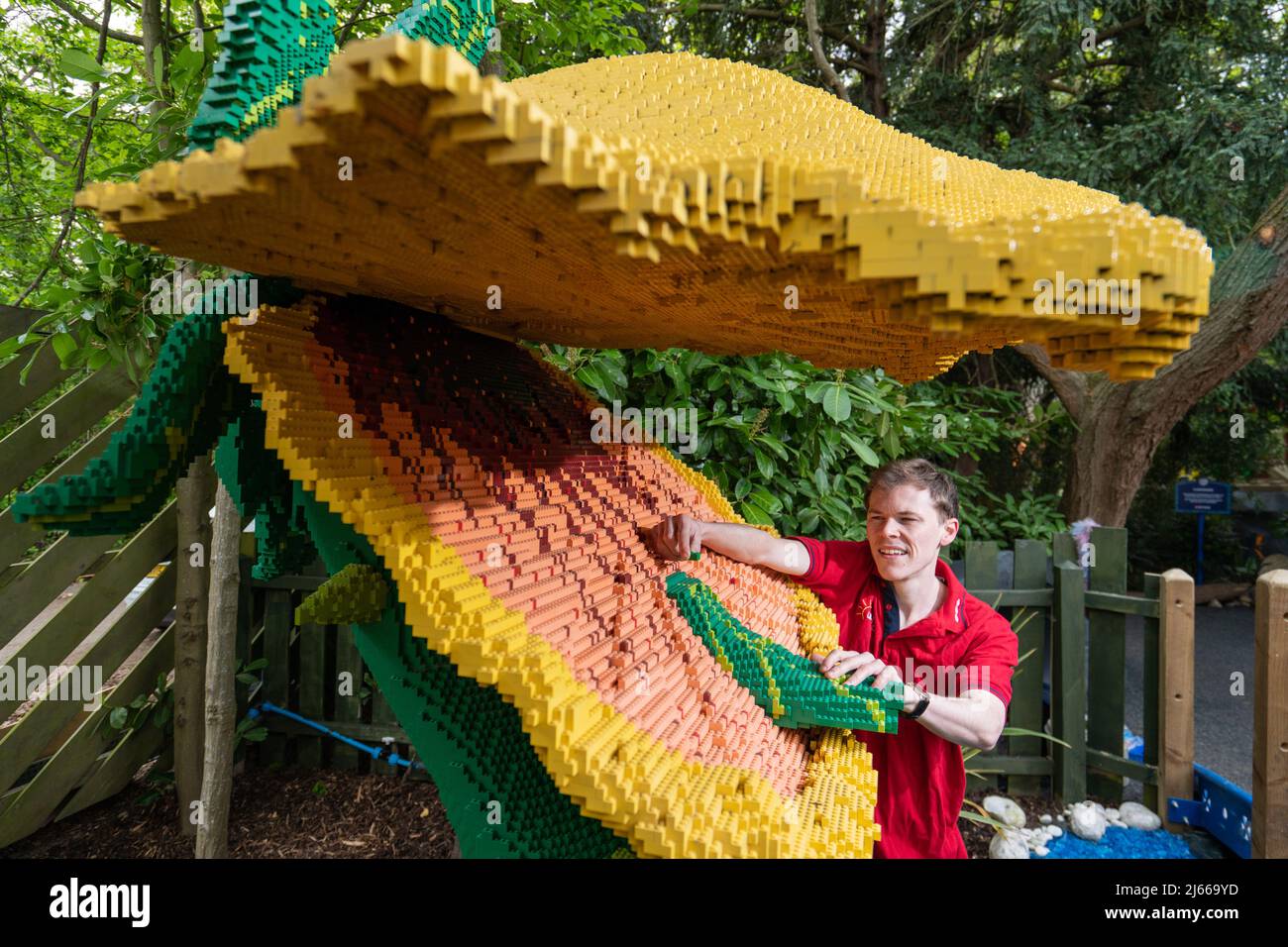 Picture venus fly trap hi-res stock photography and images - Alamy