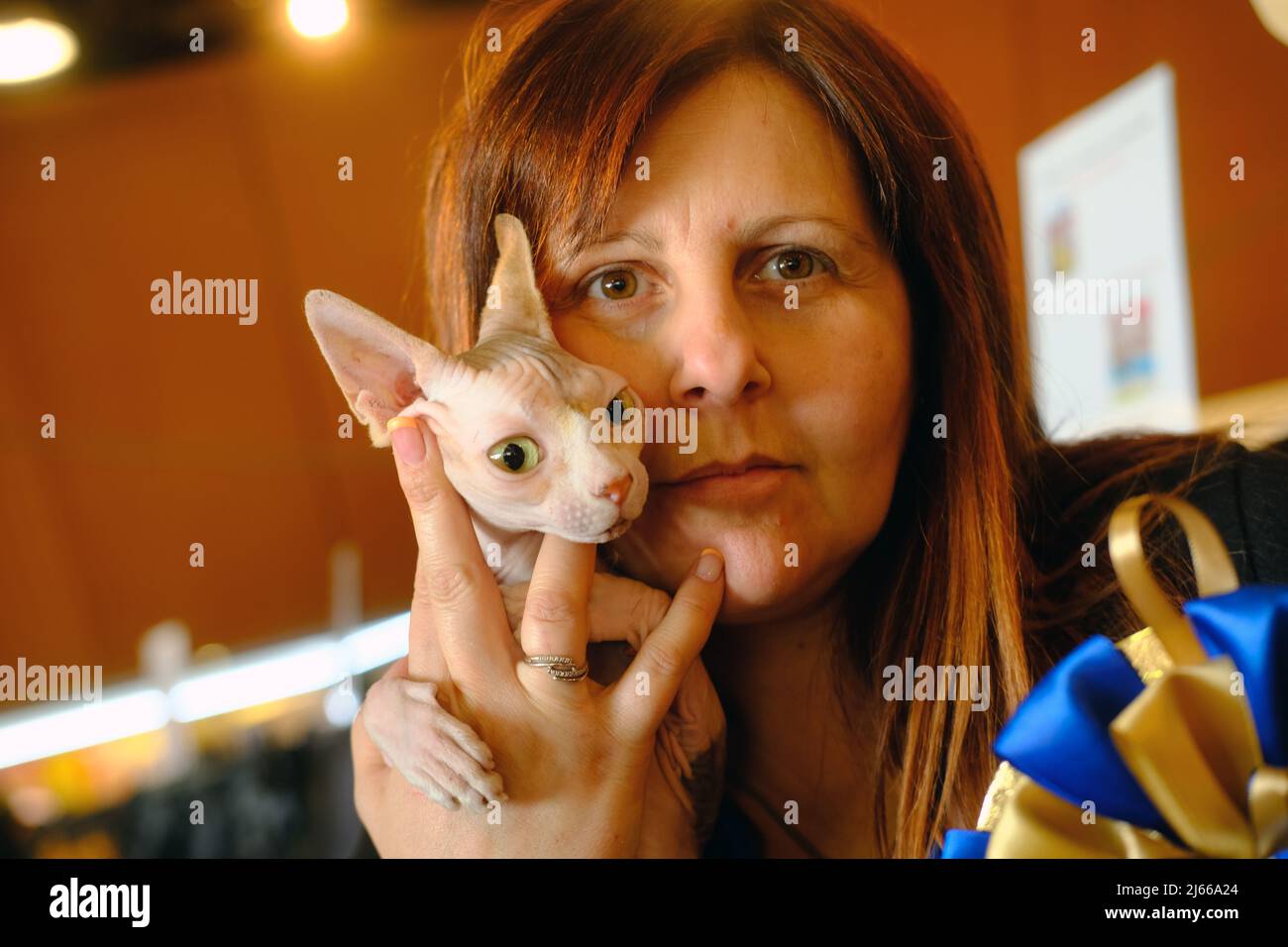 Diane Halliwell's Instagram, Twitter & Facebook on IDCrawl