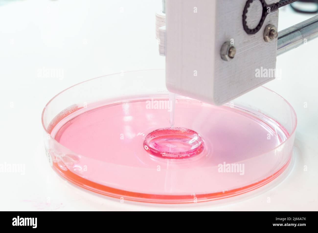 3D bioprinting is the use of 3D printing techniques to combine cells ...
