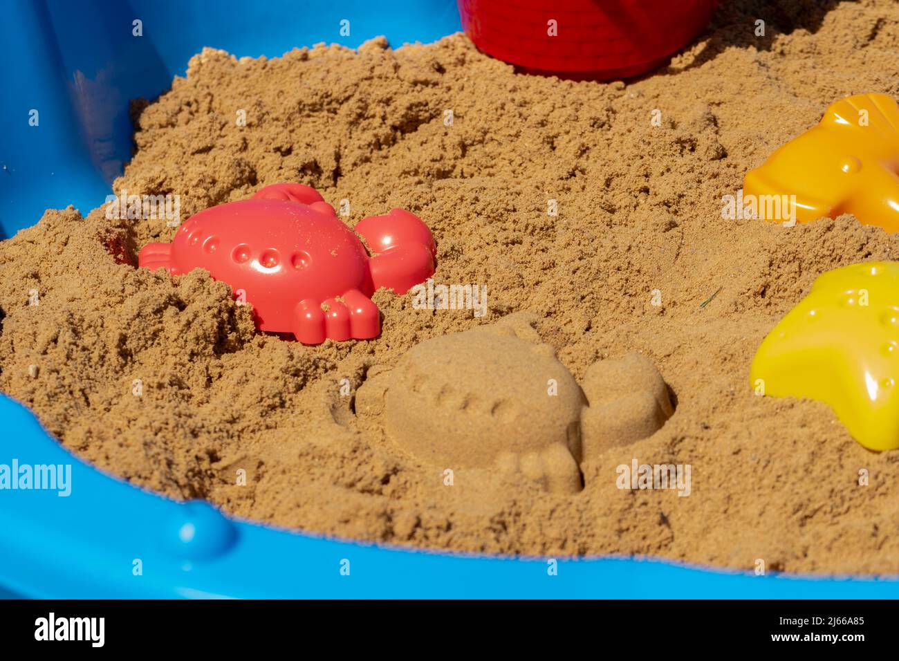 Summer vacation children child with animals hi-res stock photography ...