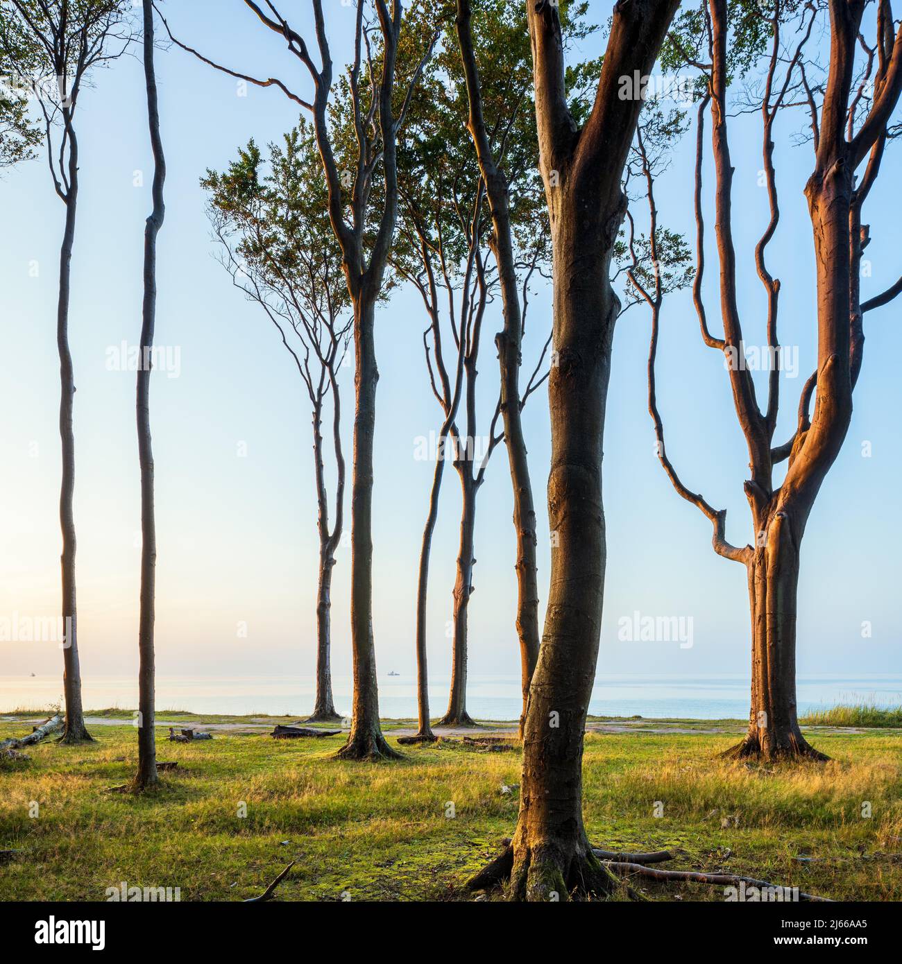 Baltic seaside resort nienhagen hi-res stock photography and images - Alamy