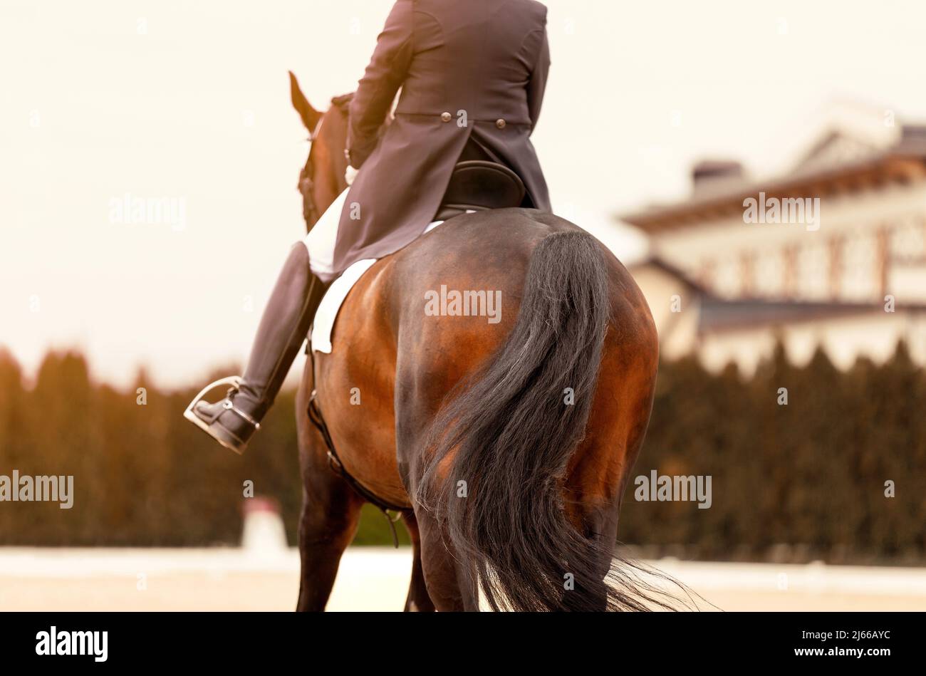 Classic Dressage Photography 35 Classic Equestrian Photo Shoot Outfits