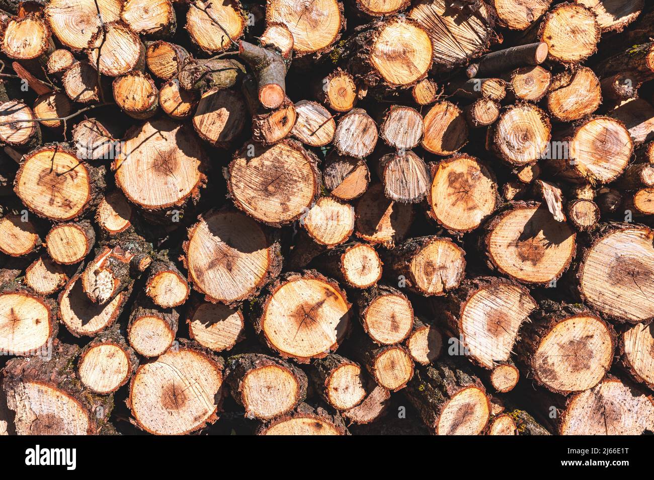 Um einen haufen hi-res stock photography and images - Alamy