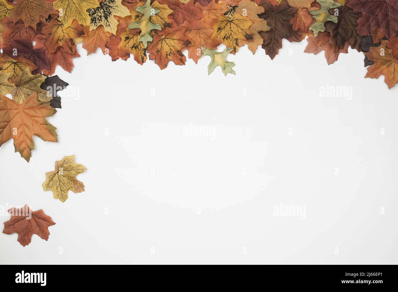 Autumn leaves falling from side frame Stock Photo - Alamy