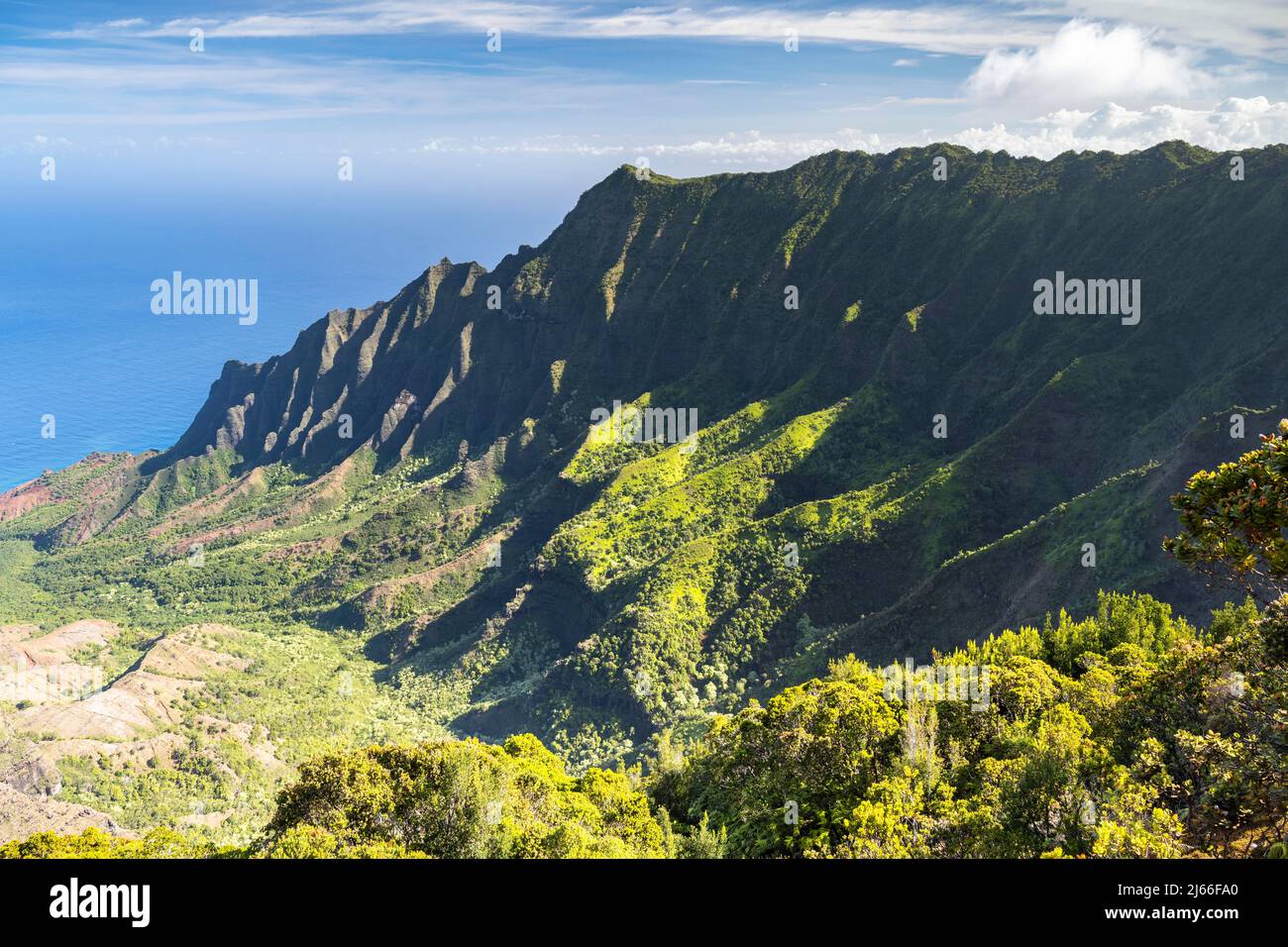 Blick vom Kalalau Lookout ins Kalalau Valley, Kokee State Park, Napali ...