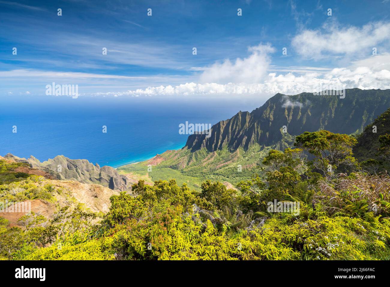 Blick vom Kalalau Lookout ins Kalalau Valley, Kokee State Park, Napali ...