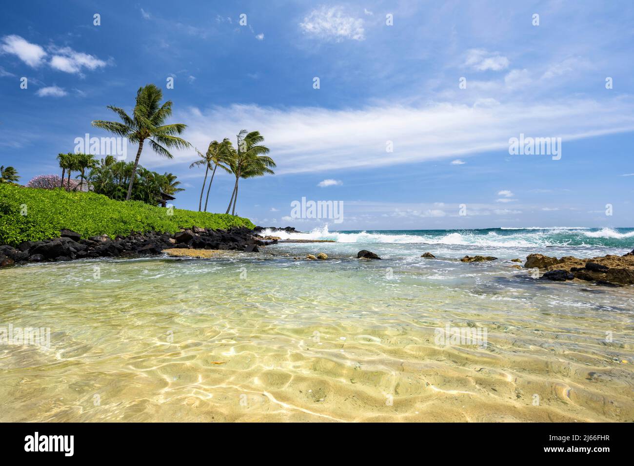 Palmen am Strand des Keiki Cove Beach, Kauai, Hawaii, USA Stock Photo ...