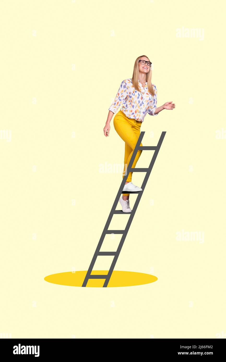 Photo collage of successful business lady go up draw ladder top manager ...