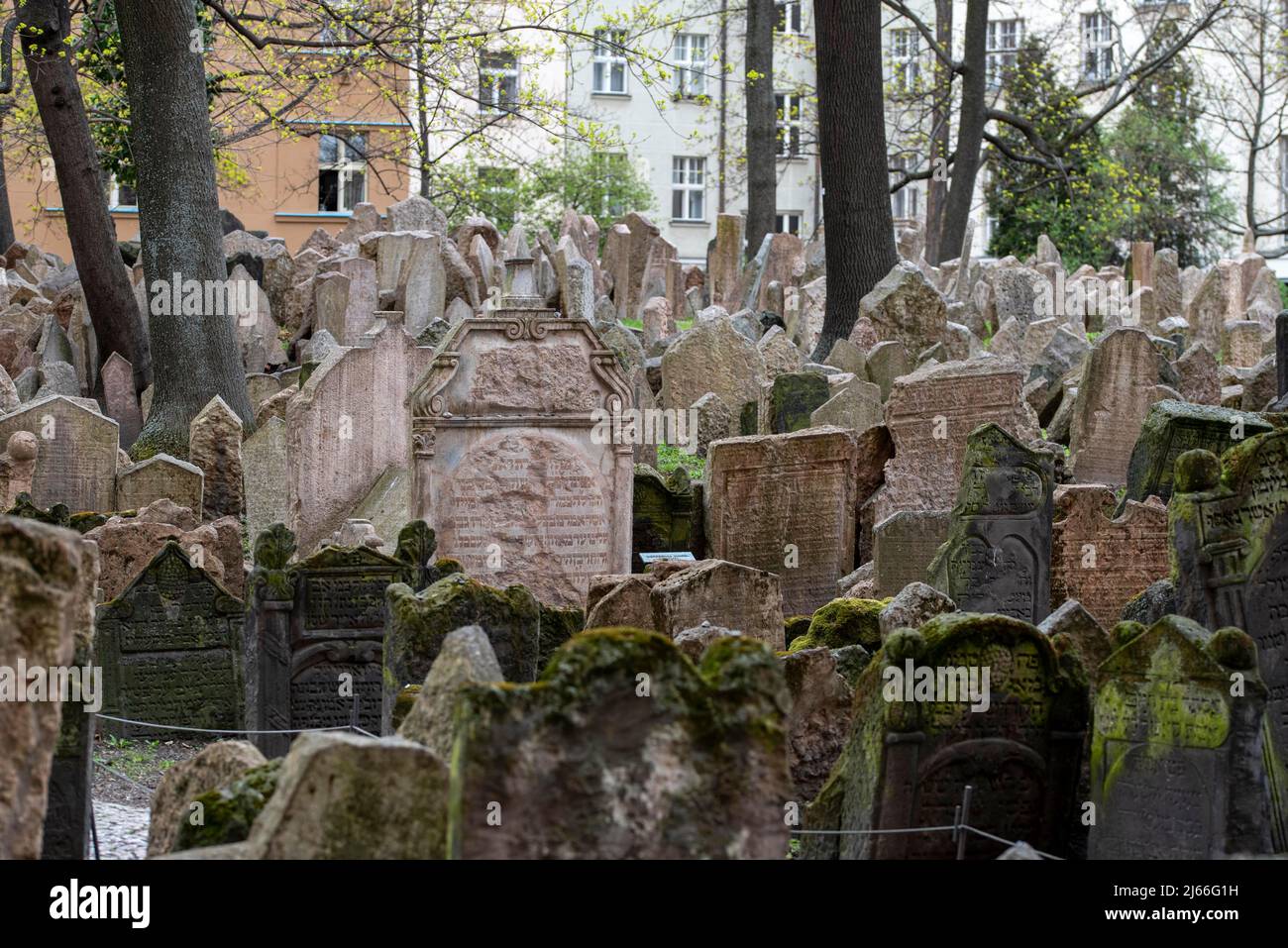 Grabsteine, alter Juedischer Friedhof, Juedisches Museum, Josefstadt ...