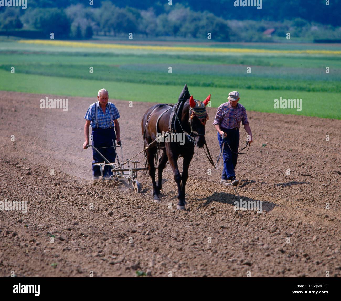 Farmers at the work, traditional manual labour, horse and plow ...