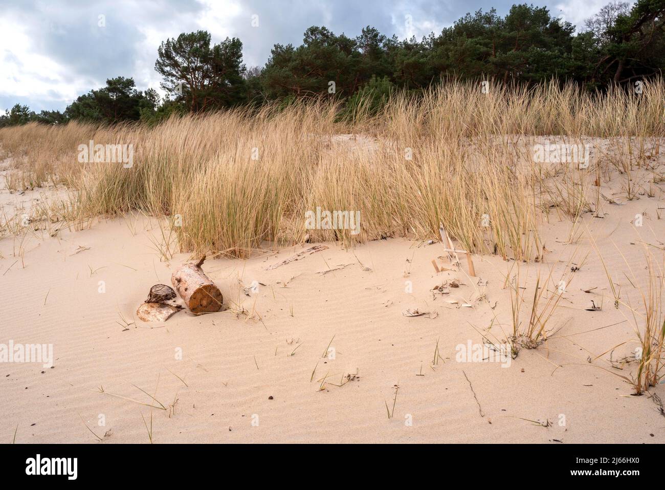 Strand und Ostsee bei Baabe, Ostseeinsel Ruegen, Mecklenburg-Vorpommern ...