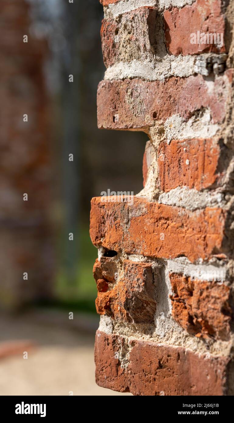 Nahaufnahme einer alten Ziegelsteinmauer im Schlosspark von Putbus ...