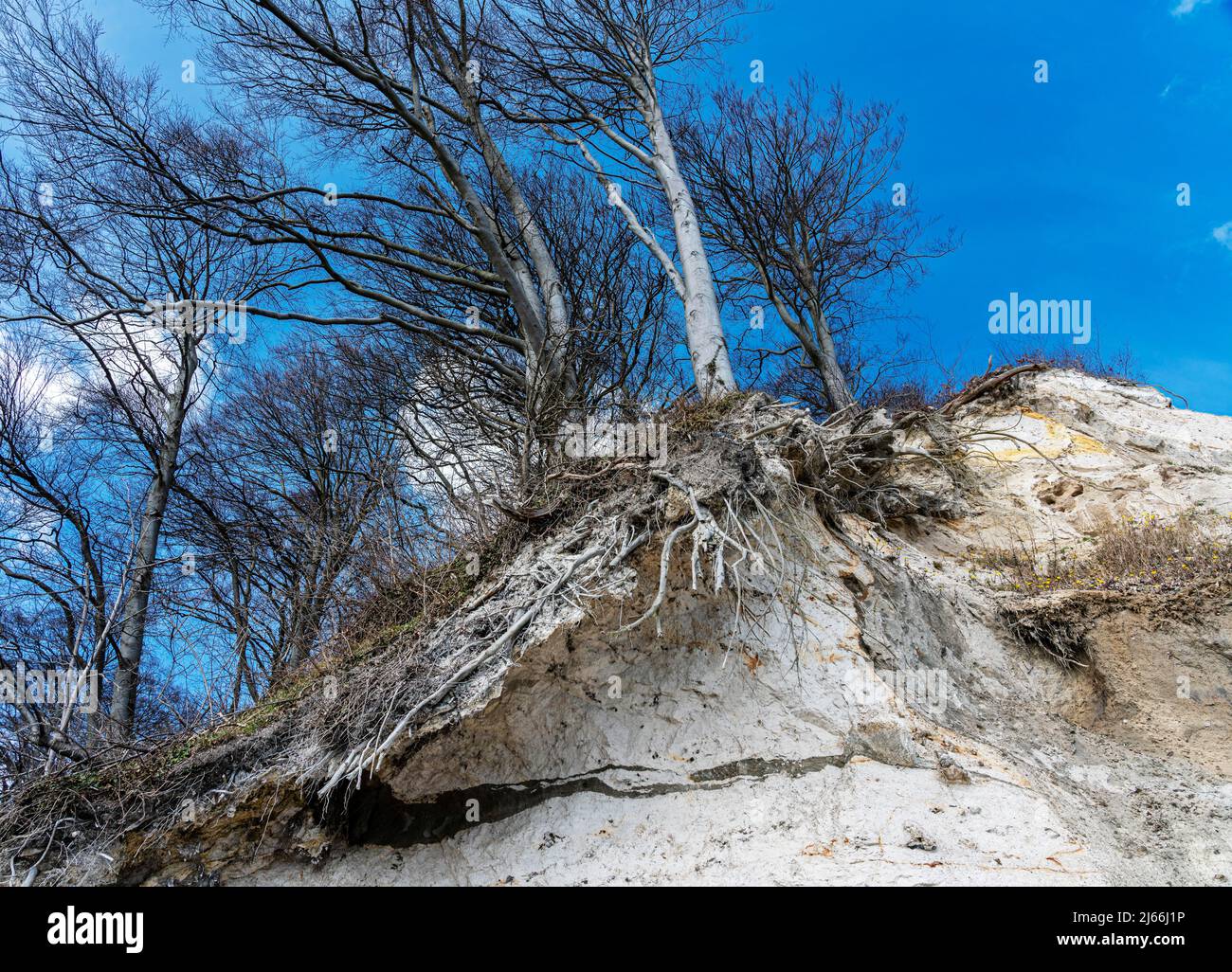 Steiler hi-res stock photography and images - Alamy