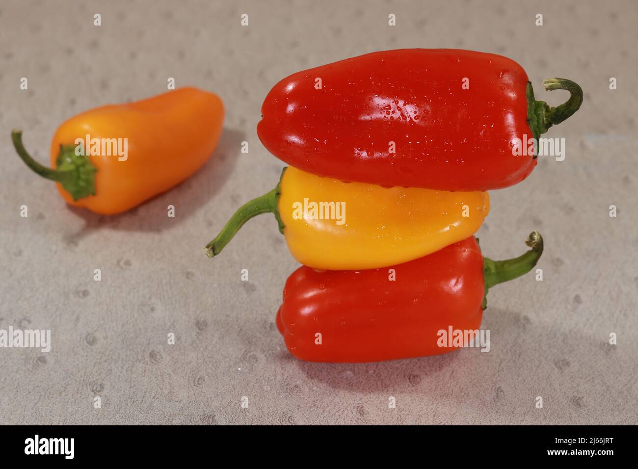 Mexico la paz vegetable garden hi-res stock photography and images - Alamy