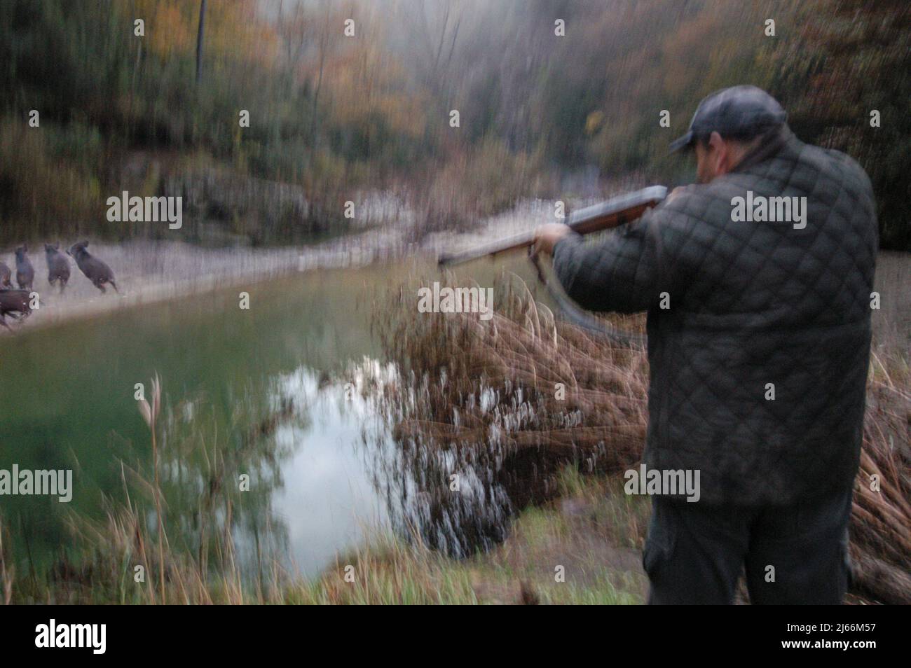 Murlo, Siena, Italy 27/11/2004: battuta di caccia al cinghiale - wild ...
