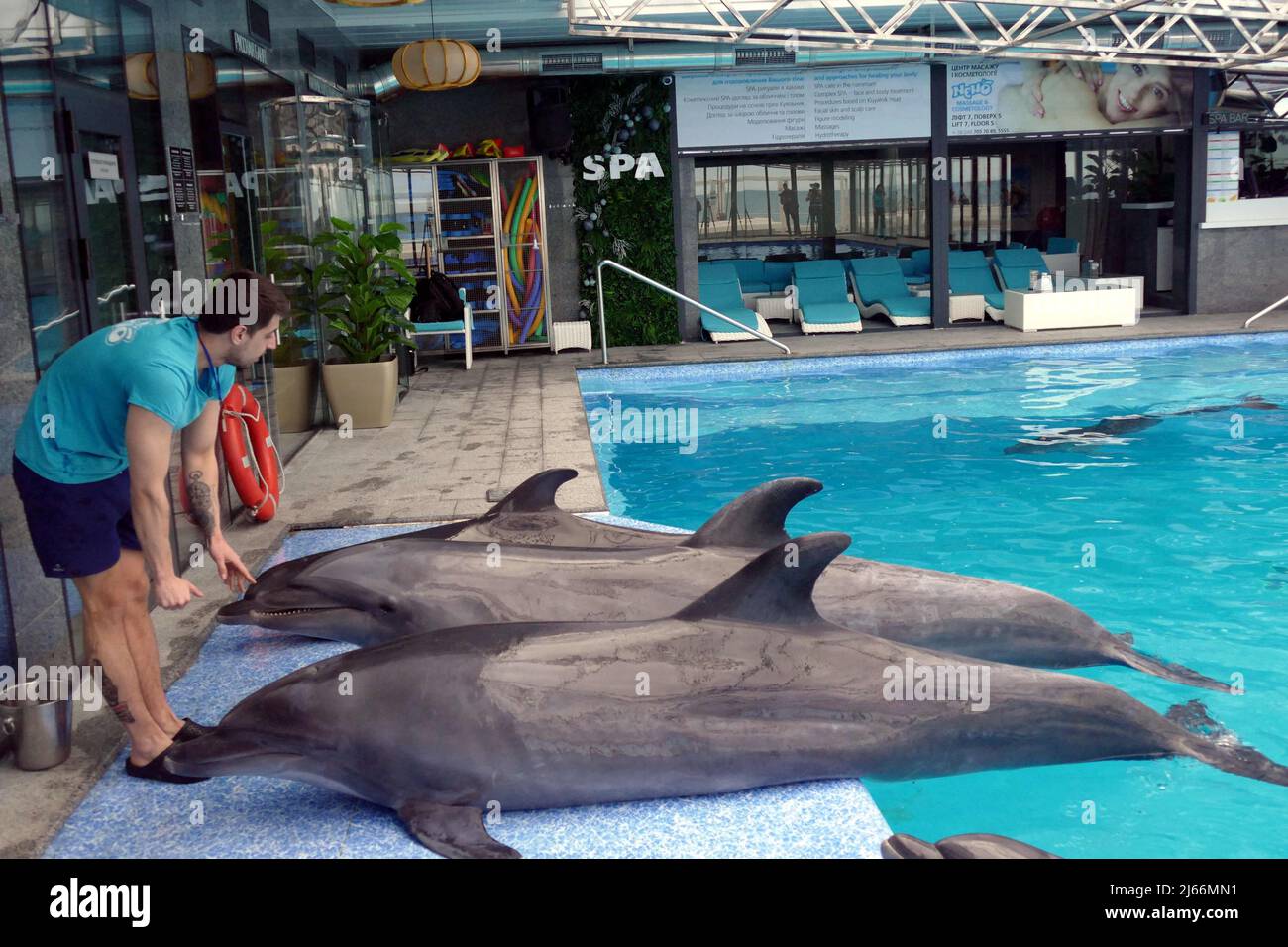 Evacuated pool hi-res stock photography and images - Alamy