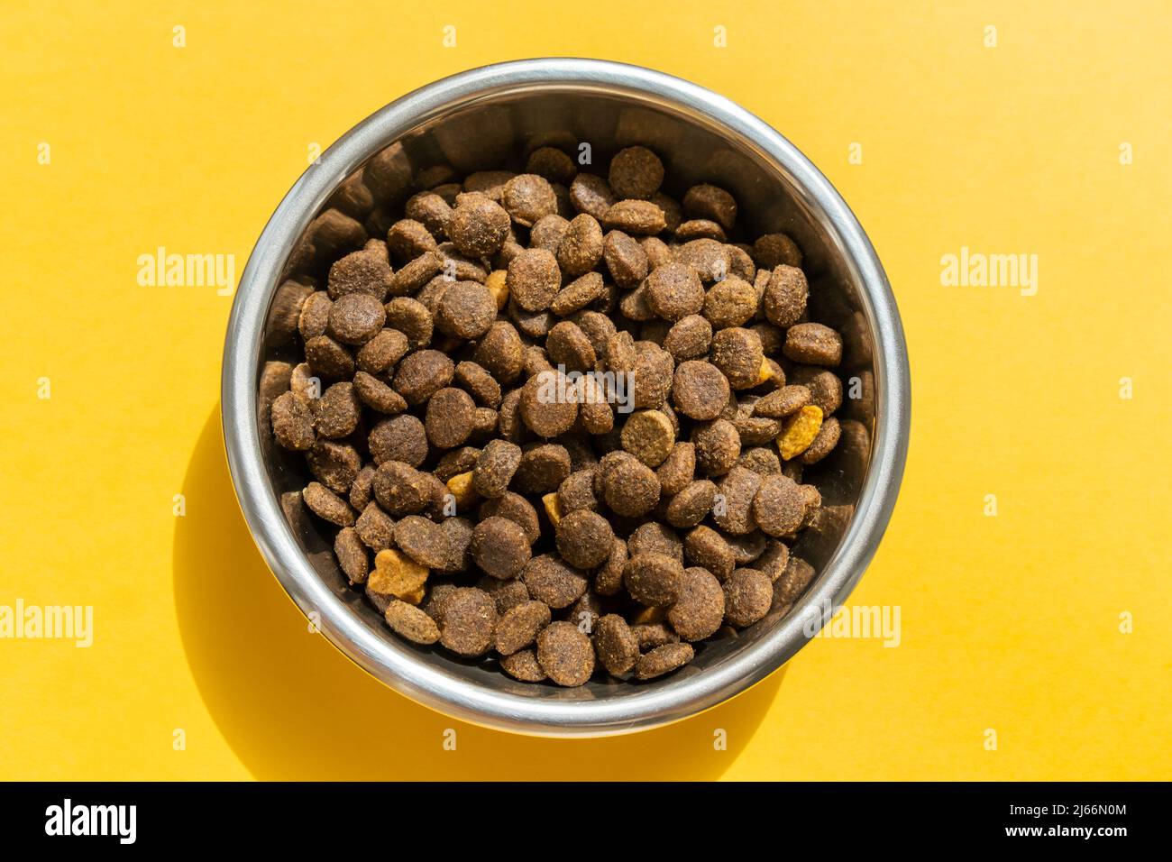 Kibble in pet bowl on the yellow background Stock Photo - Alamy